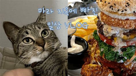일상vlog 집밥 해먹고 마라만 주구장창 먹는 돼지런한 일상 열무비빔밥 미트볼 스파게티 순두부찌개 삼겹살 Youtube