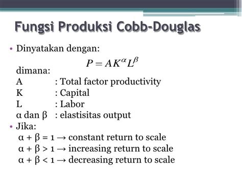 Contoh Soal Fungsi Produksi Cobb Douglas
