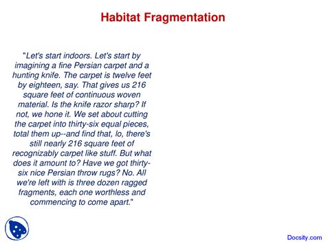 Fragmentation Of Habitat Introduction To Conservation Biology