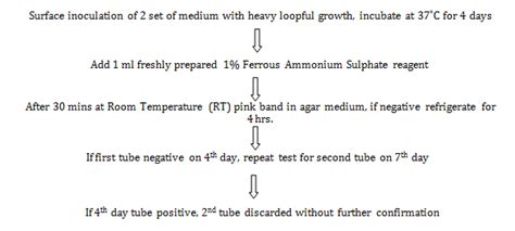 Waynes Assay A Screening Method For Indirect Detection Of Pyrazinamide Resistance In