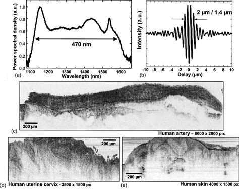 A Typical Optical Output Power Spectra Of A Compact Download Scientific Diagram