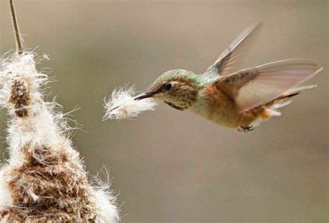 बिभास प्रसाद सिन्हा On Twitter Rt Seemanature मंजिल पर कैसे पहुँचते