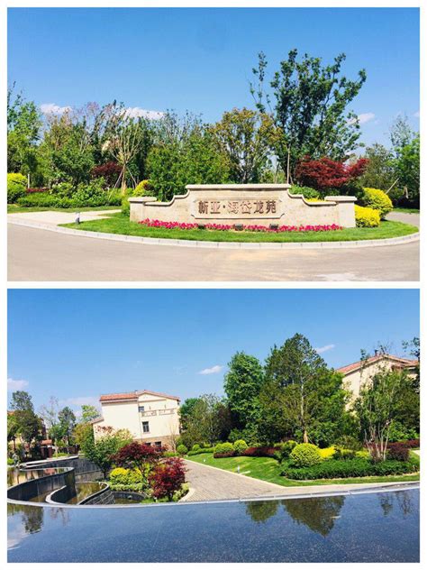 青州海岱龙苑位置 青州龙园怎么样 青州海岱龙苑别墅 第13页 大山谷图库