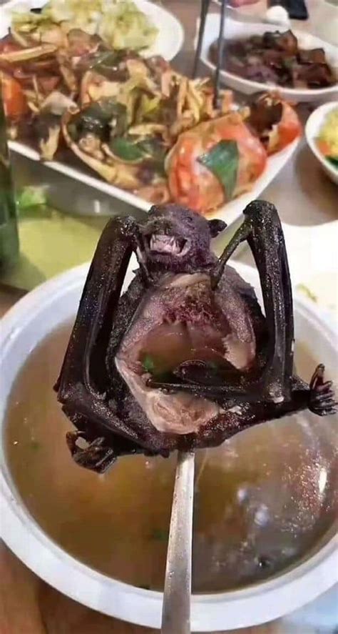 Experts Think Chinese Virus Linked To Bat Soup