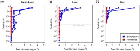 Root Biomass Versus Depth Data Are From Three Replicate Cores Sampled