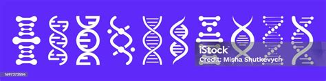Ikon Dna Set Vektor Elemen Dna Model Gen Kehidupan Kode Bio Genetika