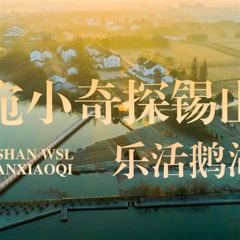 乐活鹅湖 专属锡山的文化印记青鱼鹅湖镇甘露