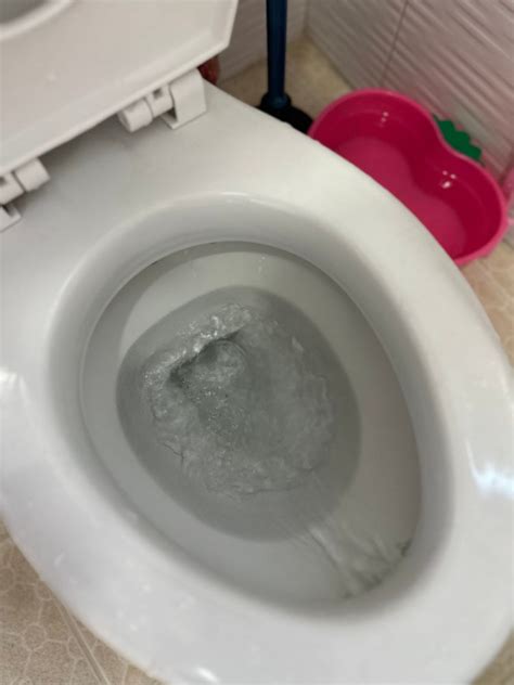 변기 검은때 지식in