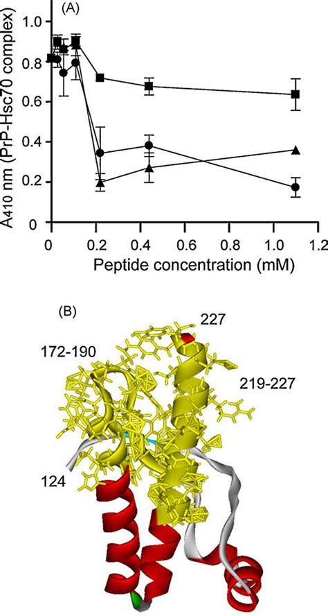 Peptide Inhibition Of Hsc70 Binding To Prp And Proposed Hsc70 Binding