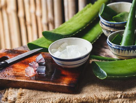Hidratação De Babosa — Receita Caseira Para Repor A água Dos Cabelos