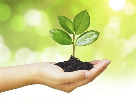 Four Reasons To Grow And Eat Organic Earth Day Andrew Weil Md