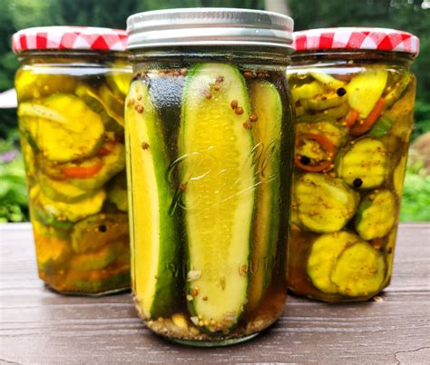 Long Island Locavore Pickle Perfection Choosing The Right Cucumbers