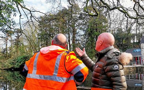 Après la tempête Ciaran un plan Marshall des arbres à Brest En