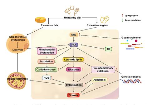 Figure 1 From Biological Role And Related Natural Products Of Sirt1 In