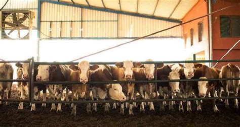 Veteriner Hekimlerden Tarımda Milli Birlik Projesi tepkisi Gıda Hattı