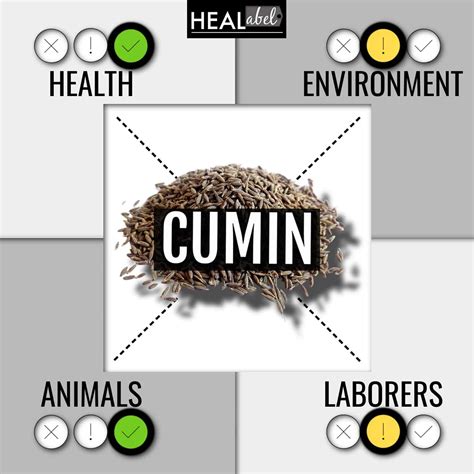 Cumin Benefits Side Effects Low Fodmap Gluten Free Vegan