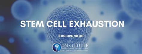 stem cell exhaustion the ultimate culprit of aging the institute