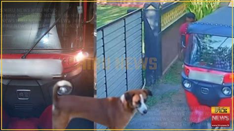 Two Arrested For Animal Cruelty After Dog Attack Video Goes Viral
