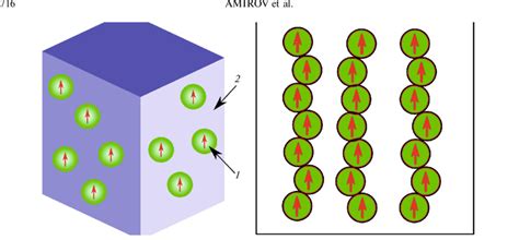 A General Model Of The Magnetic Composite Elastomer Barium