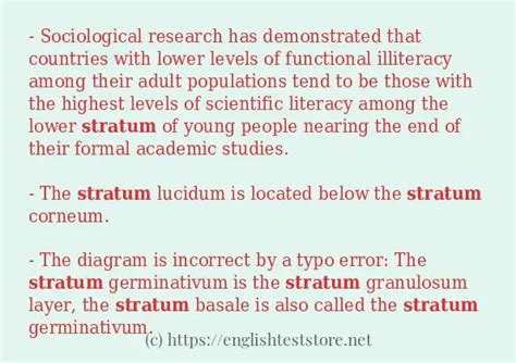 Use In Sentence Of Stratum Englishteststore Blog