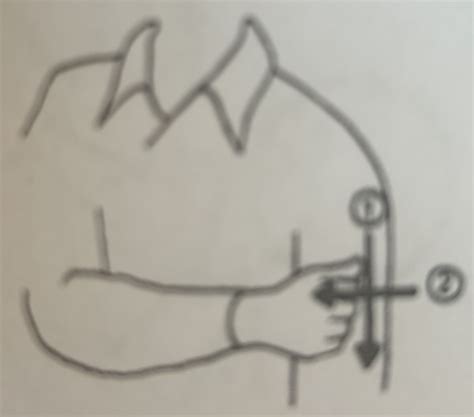 chpt 11 sign language transportation flashcards quizlet