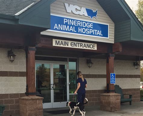 Our Hospital Vca Pineridge Animal Hospital
