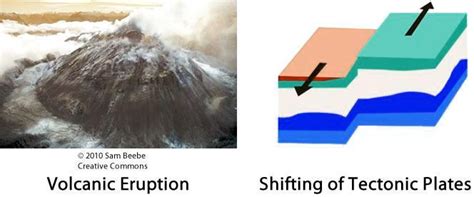 solved the pictures below show two processes 4 points images