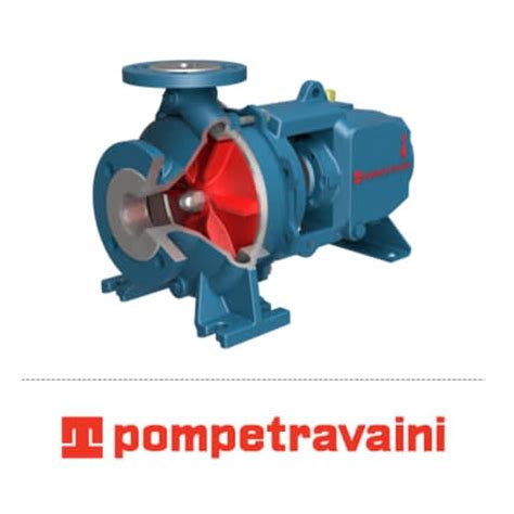 Travaini Iso 2858 And 5199 Centrifugal Process Pumps Centrifugal Pumps