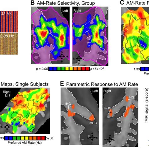 Selectivity For Rates Of Temporal Modulation In White Noise A Amwn