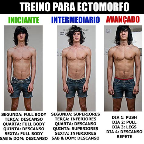 Treino Para Ectomorfo Construindo Músculos Para Magros