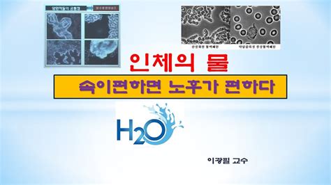 속이 편하면 노후가 편하다인체의 물 Youtube