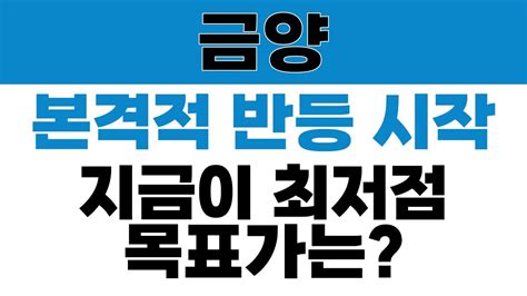 금양 주가전망 본격적 반등 시작 지금이 최저점 목표가는 Youtube