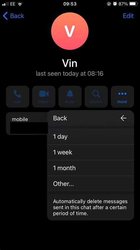 How To Enable Auto Delete On A Telegram Chat