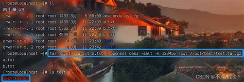 Linux 中常用的压缩和解压缩命令详解（tar Zip）tar压缩命令 Csdn博客