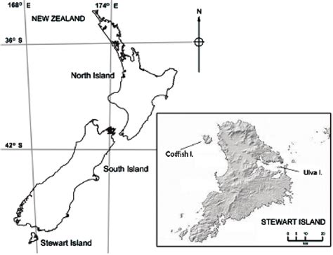 Stewart Island Map