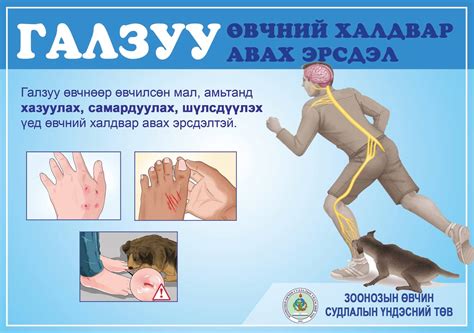 ЗӨВЛӨГӨӨ Галзуу өвчтэй амьтанд хазуулахаас сэргийлээрэй