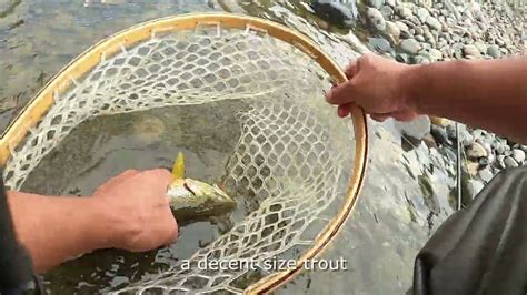 캐나다 밴쿠버 아일랜드 컷스로트 송어 플라이 낚시 조행기 2 Youtube