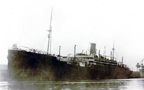 Ss Moreton Bay Our Contribution