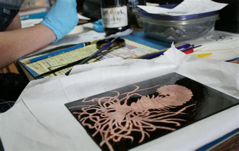 Printmaking Foundations Screenprinting Relief Etching Spudnik Press