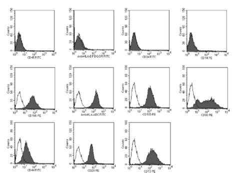 Flow Cytometric Analysis Of Surface Adhesion Molecules On Human