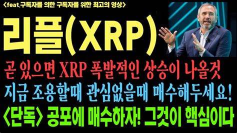 리플 리플코인 리플코인전망 Xrp Btc 코인전망 비트코인 이더리움 도지코인 Youtube