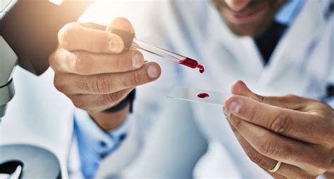 La Clave De Las Hormonas Para La Fertilidad Fsh Lh Progesterona Y