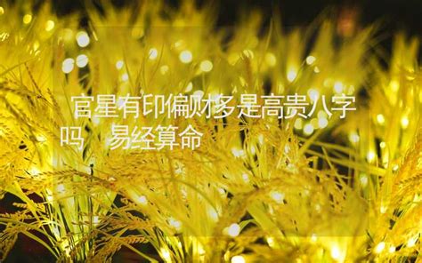 官星有印偏财多是高贵八字吗 易经算命 八字算命 合福居文化