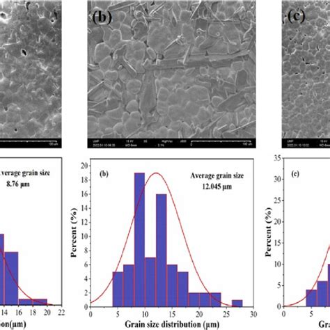 Sem Micrograph And Grain Size Distribution Of A Nbt B Nbts1 And Download Scientific
