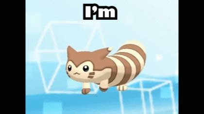 Furret Walk Furret Pokemon Funny Pokemon Pokemon Memes