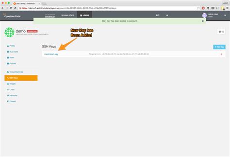 Triton Basic Operations Setup And Testing