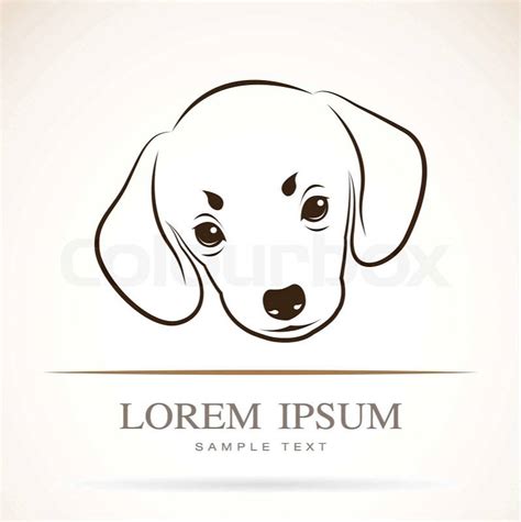 Vektor Bild Von Einem Hund Vektorgrafik Colourbox