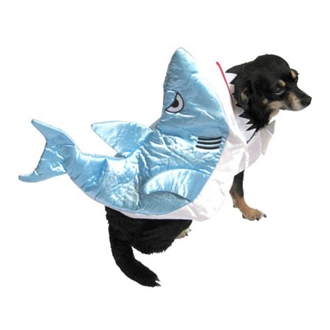 Fish Dog Costume Ubicaciondepersonascdmxgobmx