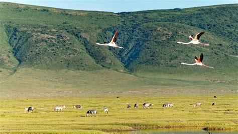 Ngorongoro Conservation Area Tanzania Safari Destinations