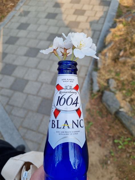 ㄲㅊ 국내축구 에펨코리아